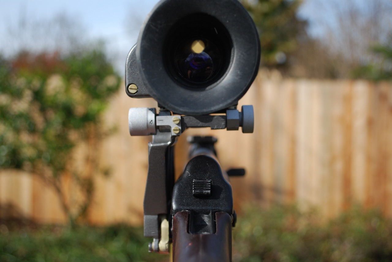 SGL31 with 1P29 optic pics > AK Discussions > AR15.COM